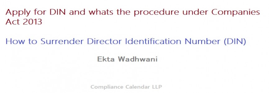 Procedure for how to apply for DIN (Director Identification Number) and ...